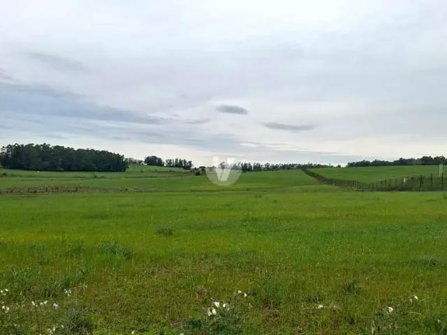 Sítio / Chácara para Venda em Santa Maria/RS Zona Rural
