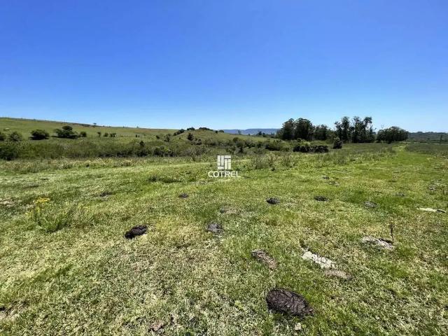 Sítio / Chácara para Venda em Santa Maria/RS Arroio do Só