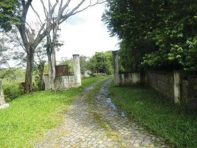 Sítio / Chácara para Venda em Santa Maria/RS Camobi