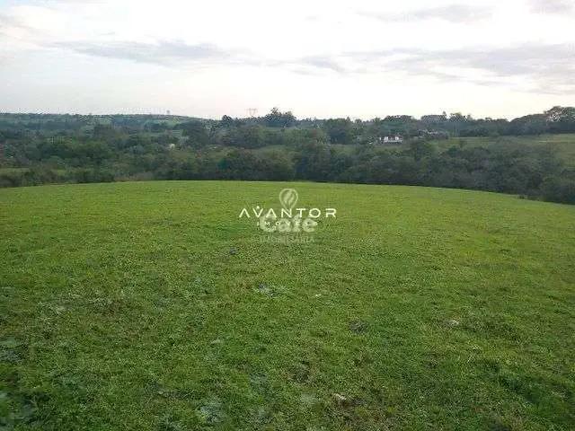 Sítio / Chácara para Venda em Santa Maria/RS Caturrita
