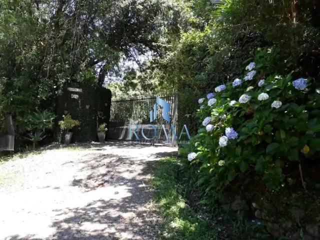 Sítio / Chácara para Venda em Santa Maria/RS Cerrito 4 Quartos