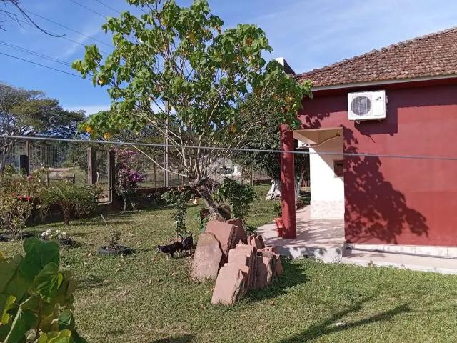 Sítio / Chácara para Venda em Santa Maria/RS Santo Antão 3 Quartos