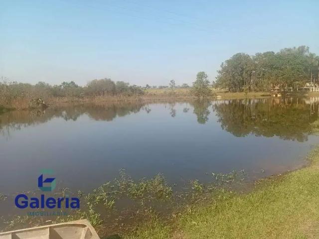Sítio / Chácara para Venda em Santa Rosa de Viterbo/SP Centro 4 Quartos