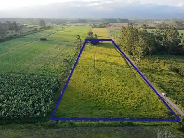 Sítio / Chácara para Venda em Santa Rosa do Sul/SC Zona Rural