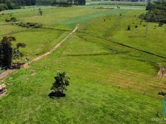 Sítio / Chácara para Venda em Santa Rosa do Sul/SC Barro Preto