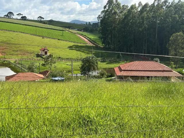 Sítio / Chácara para Venda em Santa Rita de Caldas/MG Zona Rural