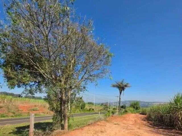 Sítio / Chácara para Venda em Santa Rita do Passa Quatro/SP Área Rural de Santa Rita do Passa Quatro