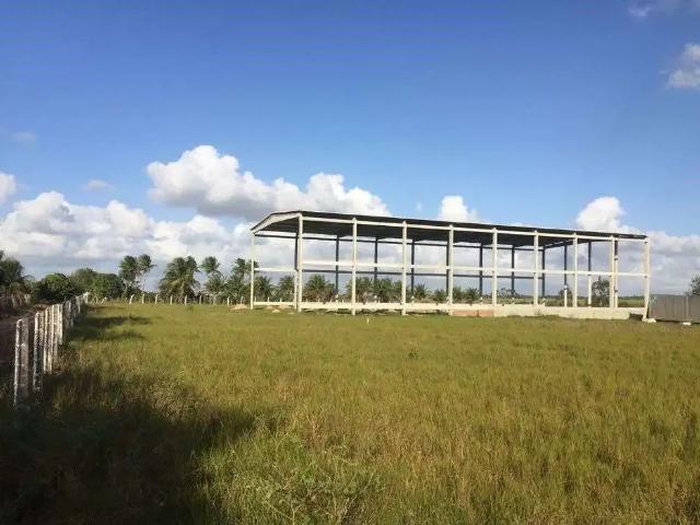 Sítio / Chácara para Venda em Santa Rita/PB Jardim Carolina 6 Quartos