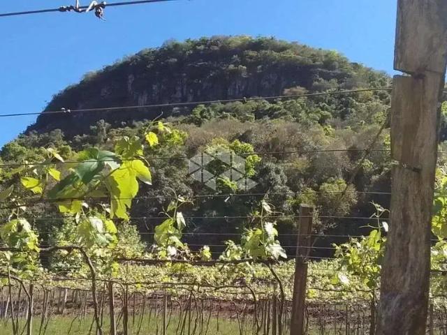 Sítio / Chácara para Venda em Santa Tereza/RS Zona Rural