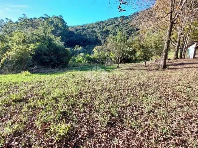 Sítio / Chácara para Venda em Santa Tereza/RS Zona Rural 3 Quartos