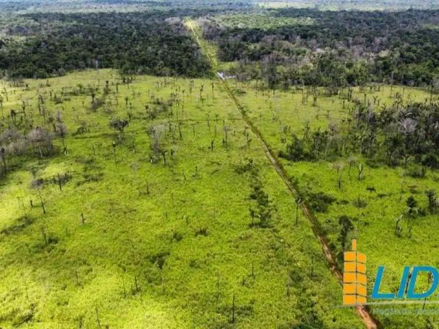 Sítio / Chácara para Venda em Santa Terezinha/MT Zona Rural