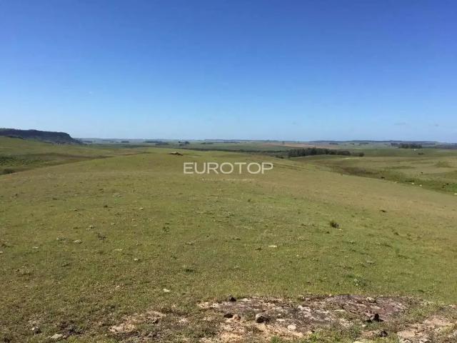 Sítio / Chácara para Venda em Santana do Livramento/RS Tabatinga