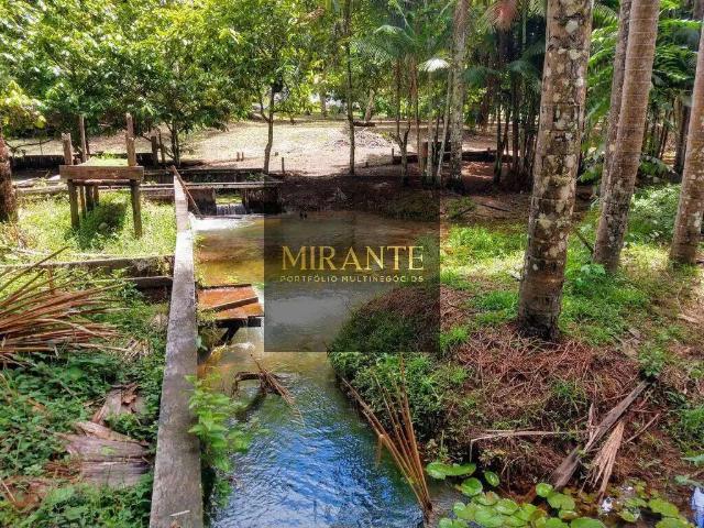 Sítio / Chácara para Venda em Santarém/PA Mararu 3 Quartos