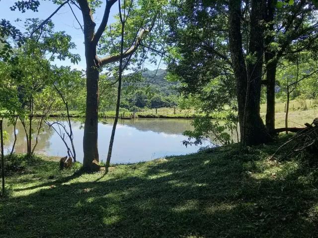 Sítio / Chácara para Venda em Sapiranga/RS Área Rural de Sapiranga