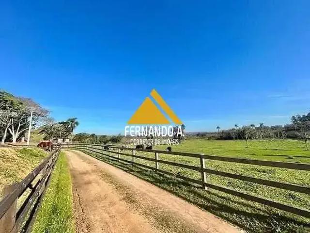Sítio / Chácara para Venda em Sapiranga/RS Área Rural de Sapiranga
