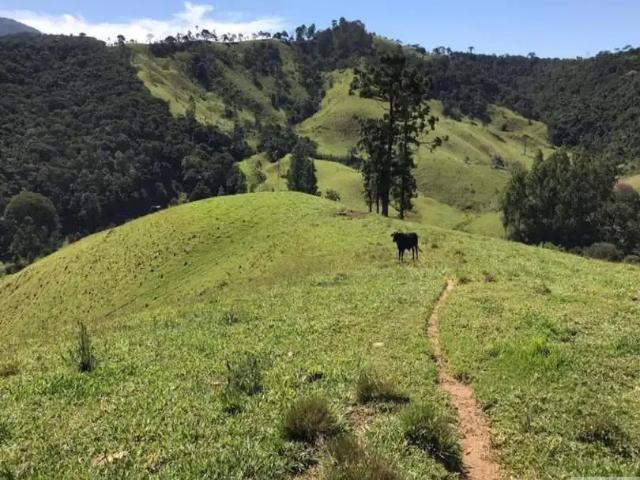Sítio / Chácara para Venda em Sapucaí Mirim/MG Zona Rural
