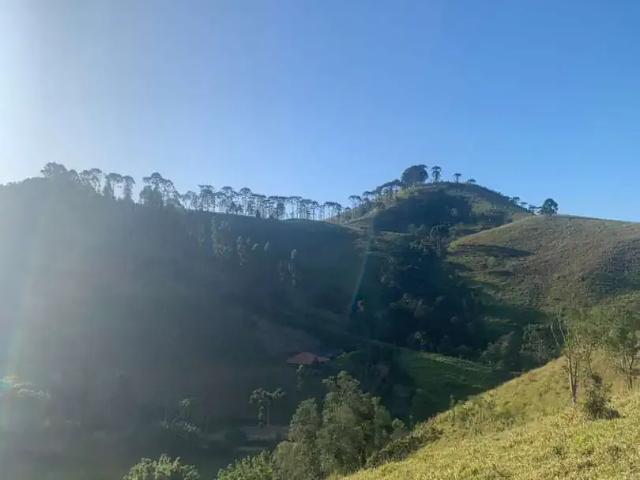 Sítio / Chácara para Venda em Sapucaí Mirim/MG Zona Rural