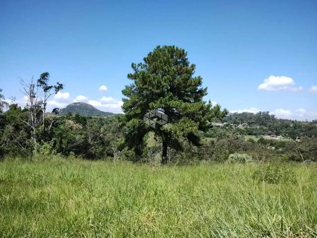 Sítio / Chácara para Venda em Sapucaia do Sul/RS Lomba da Palmeira