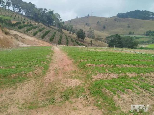 Sítio / Chácara para Venda em Sapucaia/RJ Vila do Pião 2 Quartos
