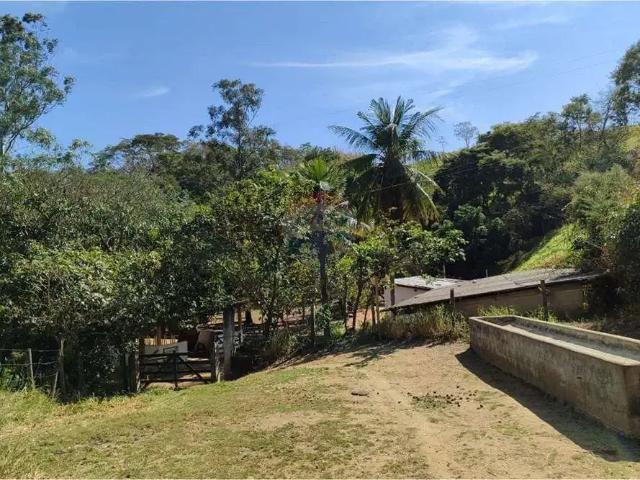 Sítio / Chácara para Venda em Sapucaia/RJ Centro