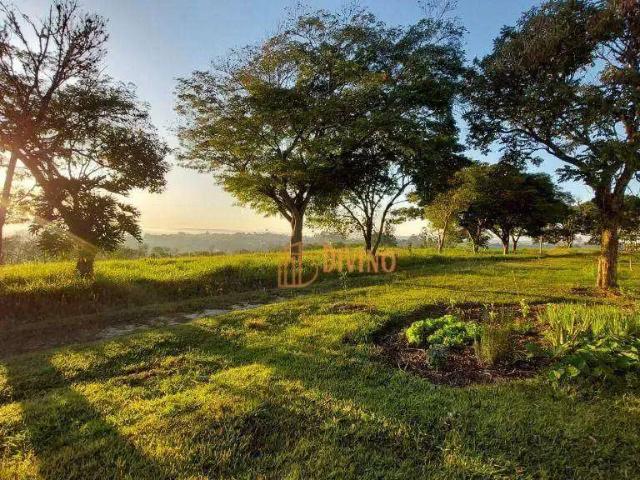 Sítio / Chácara para Venda em Sarapuí/SP Zona Rural