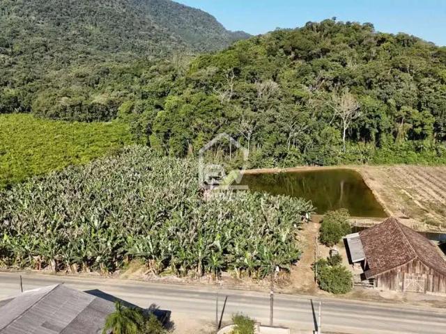 Sítio / Chácara para Venda em Schroeder/SC Centro 1 Quartos
