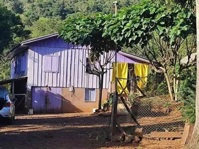 Sítio / Chácara para Venda em Seara/SC Centro 3 Quartos