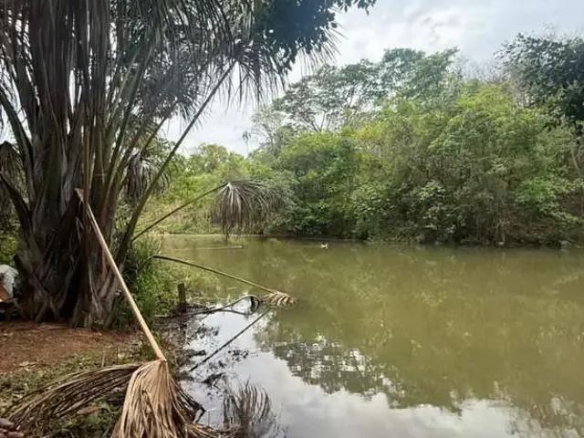 Sítio / Chácara para Venda em Senador Canedo/GO Área Rural de Senador Canedo 2 Quartos