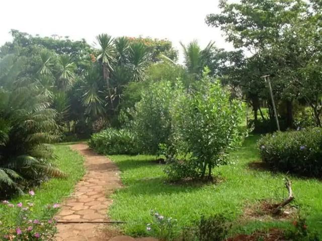 Sítio / Chácara para Venda em Senador Canedo/GO Chácaras Vargem Bonita II 2 Quartos