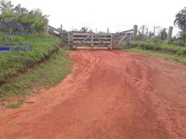 Sítio / Chácara para Venda em Sentinela do Sul/RS Zona Rural 3 Quartos