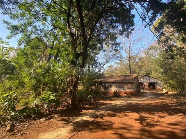 Sítio / Chácara para Venda em Serranópolis do Iguaçu/PR Zona Rural