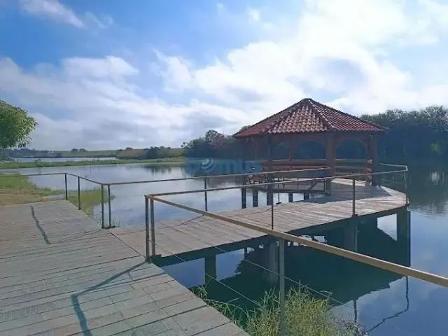 Sítio / Chácara para Venda em Sertaneja/PR Zona Rural