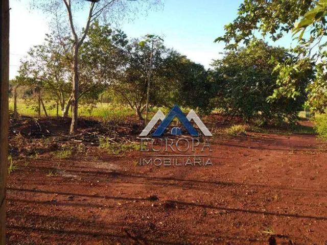 Sítio / Chácara para Venda em Sertanópolis/PR Estancia Favoreto