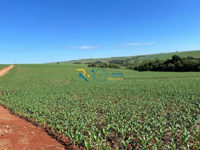 Sítio / Chácara para Venda em Sertanópolis/PR Zona Rural