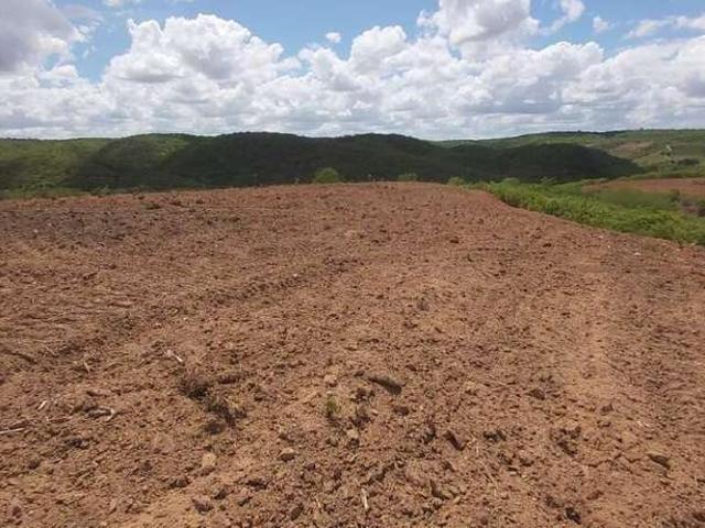 Sítio / Chácara para Venda em Sítio do Quinto/BA Zona Rural