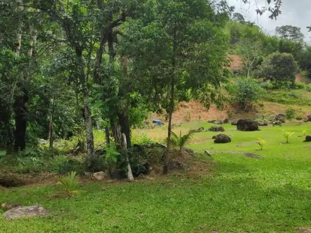 Sítio / Chácara para Venda em Silva Jardim/RJ Aldeia Velha