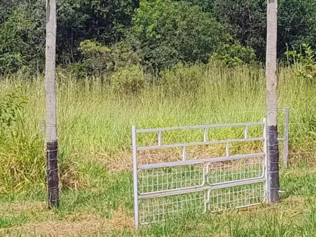 Sítio / Chácara para Venda em Silvânia/GO Zona Rural 3 Quartos
