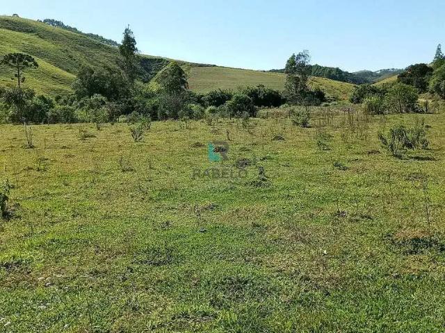 Sítio / Chácara para Venda em Silveiras/SP Centro 4 Quartos
