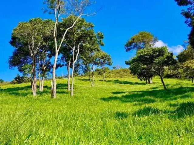 Sítio / Chácara para Venda em Silveiras/SP Centro
