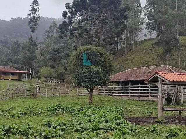 Sítio / Chácara para Venda em Silveiras/SP Zona Rural