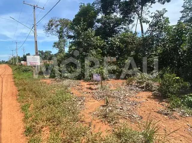 Sítio / Chácara para Venda em Sinop/MT Alto da Glória