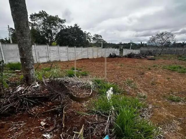 Sítio / Chácara para Venda em Suzano/SP Chácaras Duchen