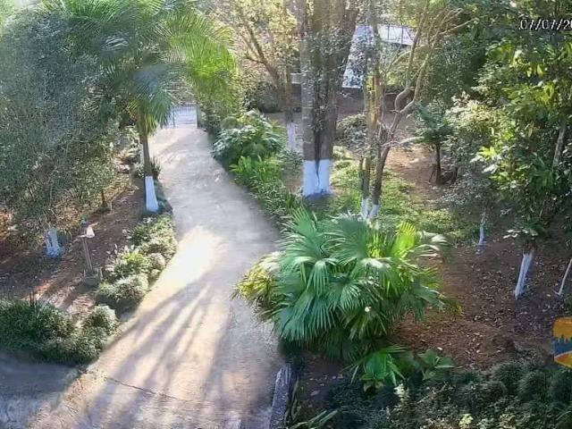 Sítio / Chácara para Venda em Suzano/SP Chácaras São Judas Tadeu 2 Quartos