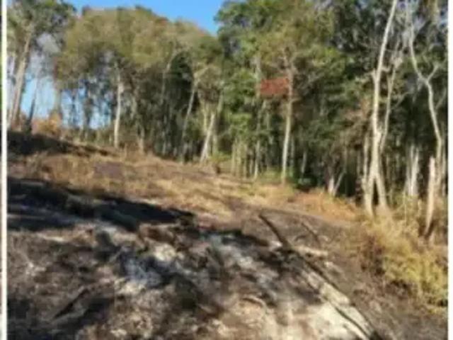 Sítio / Chácara para Venda em Suzano/SP Estância Piratininga