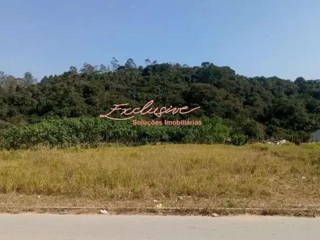 Sítio / Chácara para Venda em Suzano/SP Ipelândia