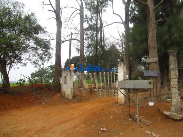 Sítio / Chácara para Venda em Suzano/SP Jardim Nova Ipelândia