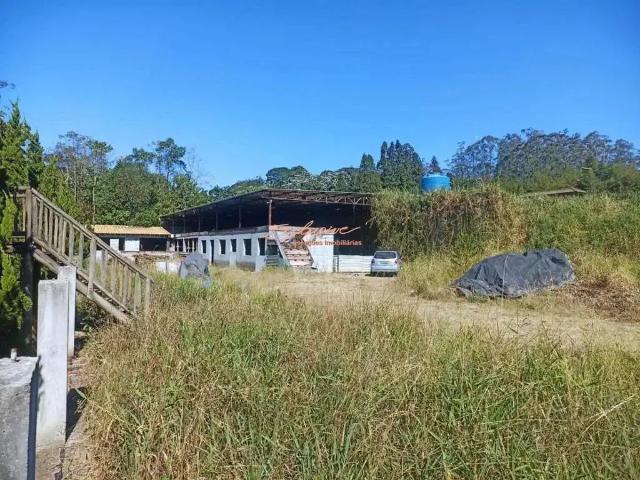 Sítio / Chácara para Venda em Suzano/SP Palmeiras de São Paulo