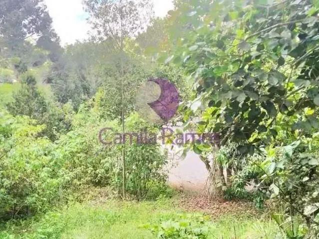Sítio / Chácara para Venda em Suzano/SP Recreio Bela Vista 5 Quartos