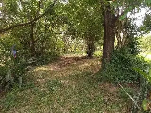 Sítio / Chácara para Venda em Sumaré/SP Chácara Bela Vista