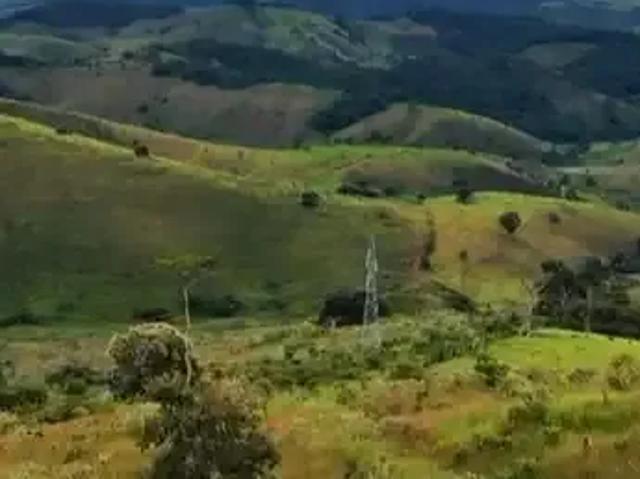Sítio / Chácara para Venda em Pouso Alto/MG Zona Rural